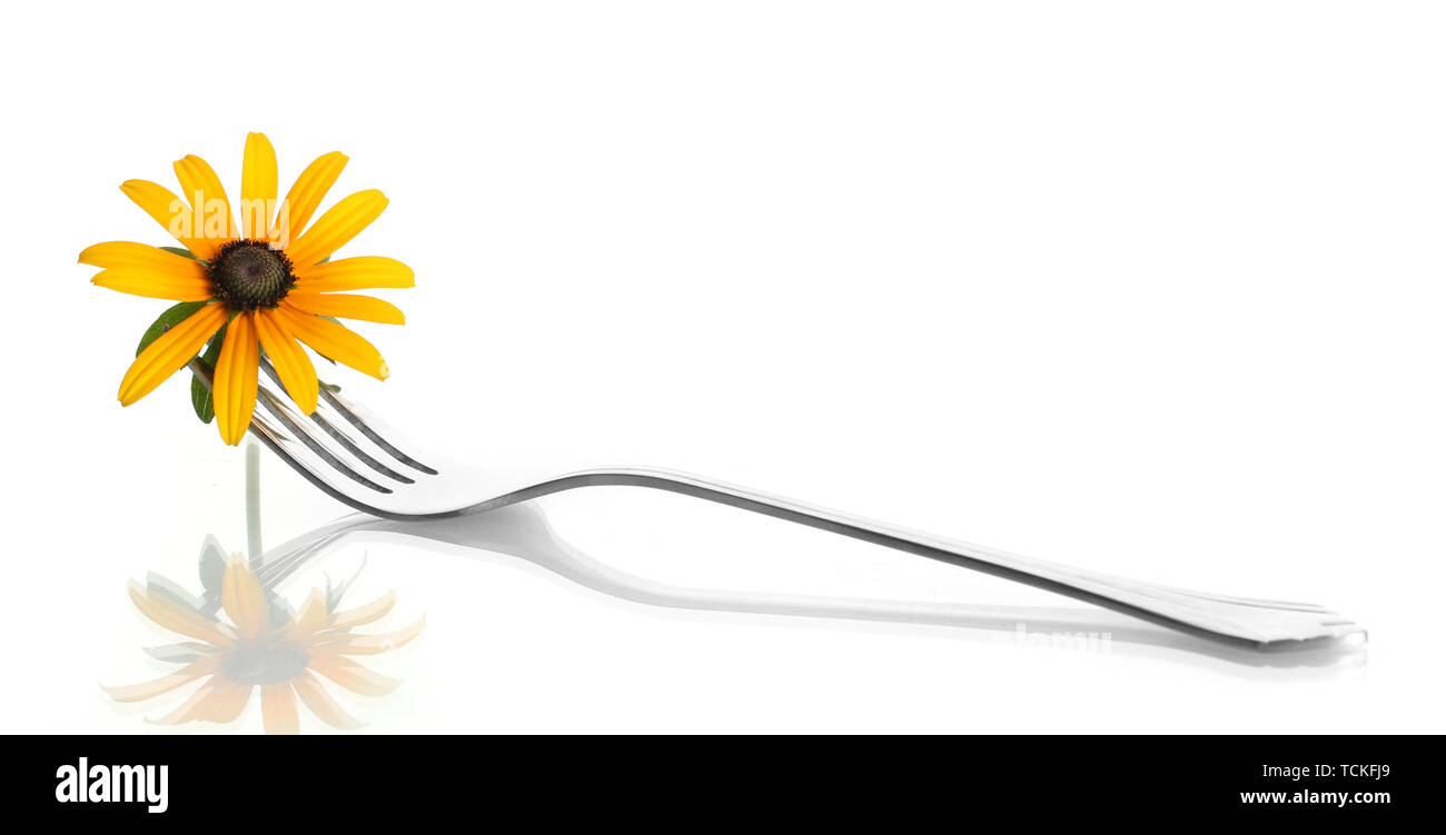fork and flower, isolated on white Stock Photo - Alamy
