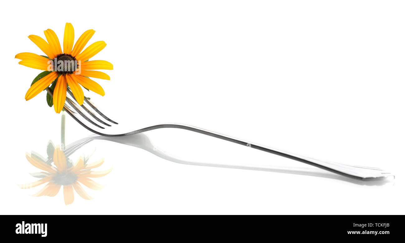 fork and flower, isolated on white Stock Photo - Alamy