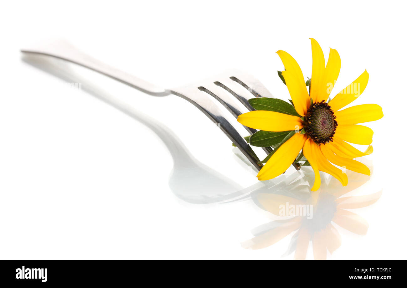 fork and flower, isolated on white Stock Photo - Alamy