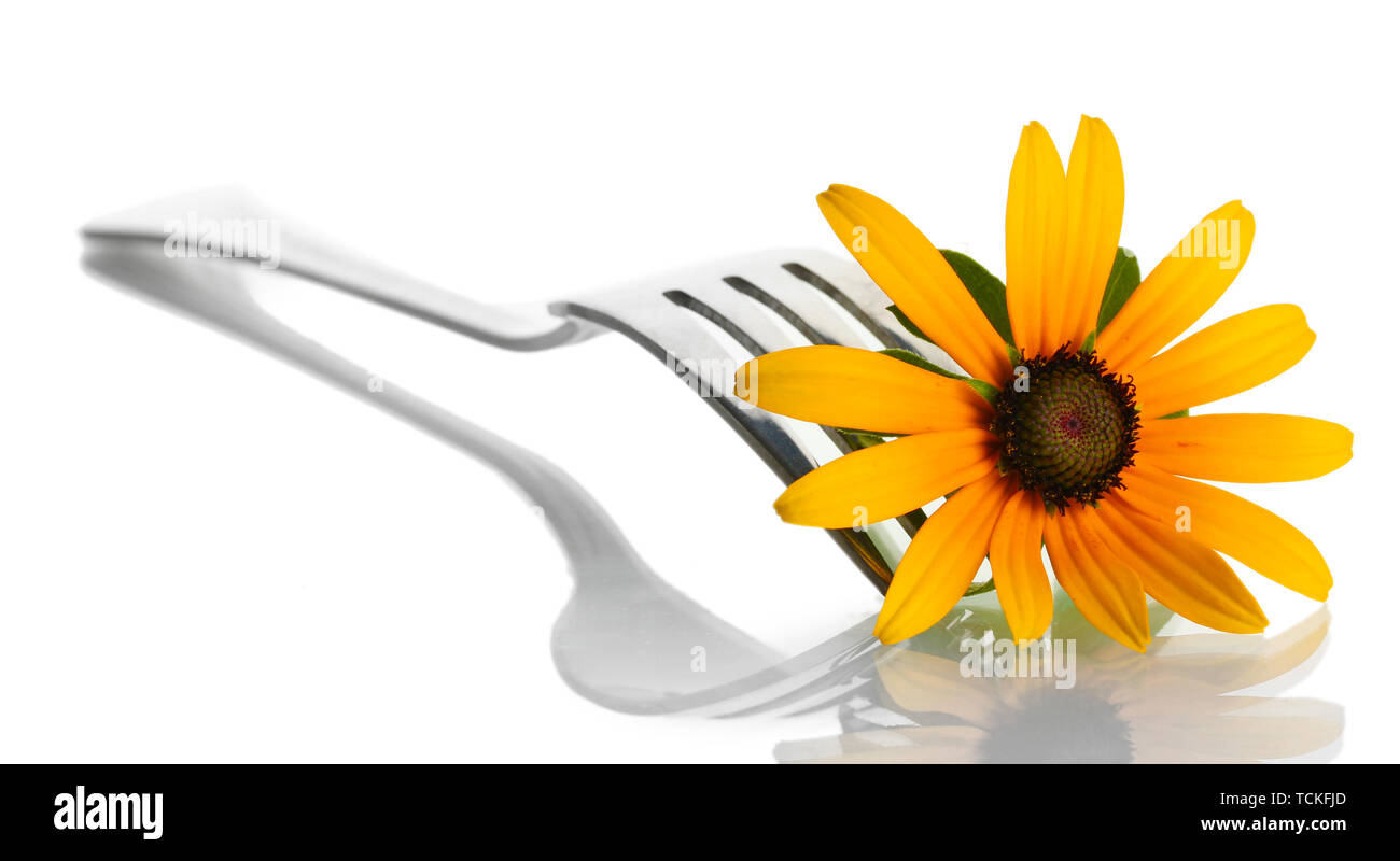 fork and flower, isolated on white Stock Photo - Alamy