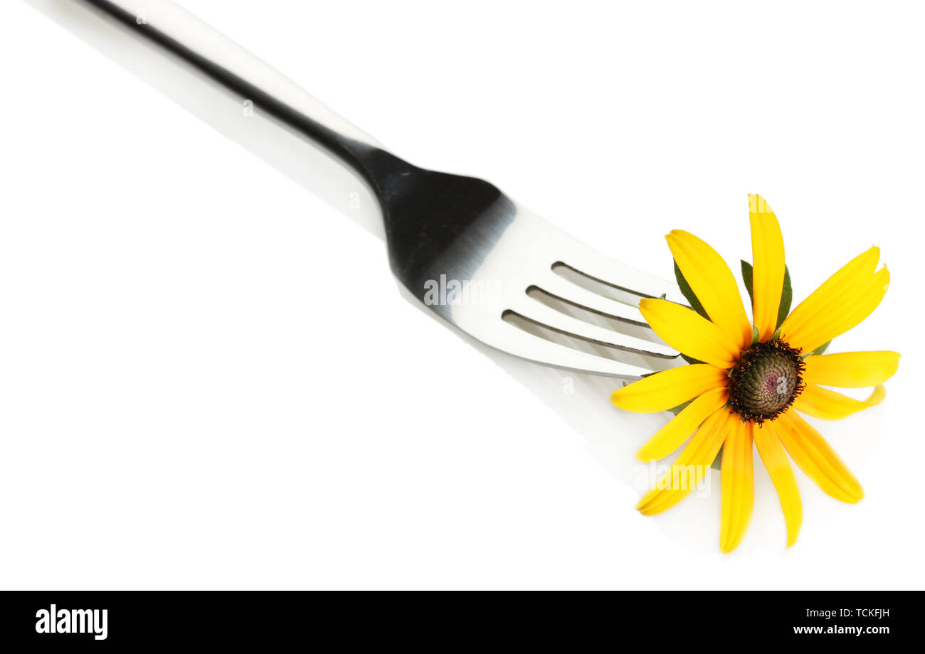 fork and flower, isolated on white Stock Photo - Alamy