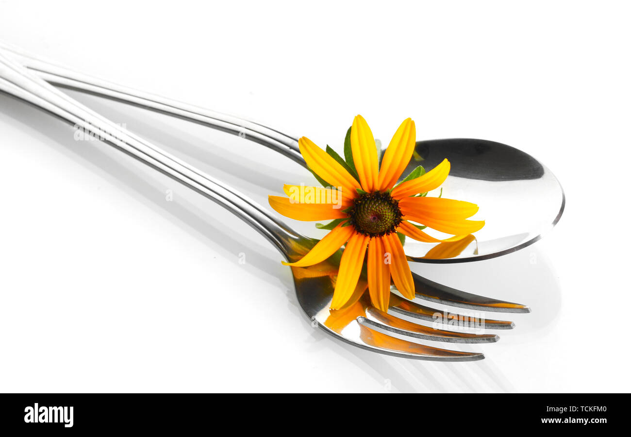 spoon, fork and flower, isolated on white Stock Photo - Alamy