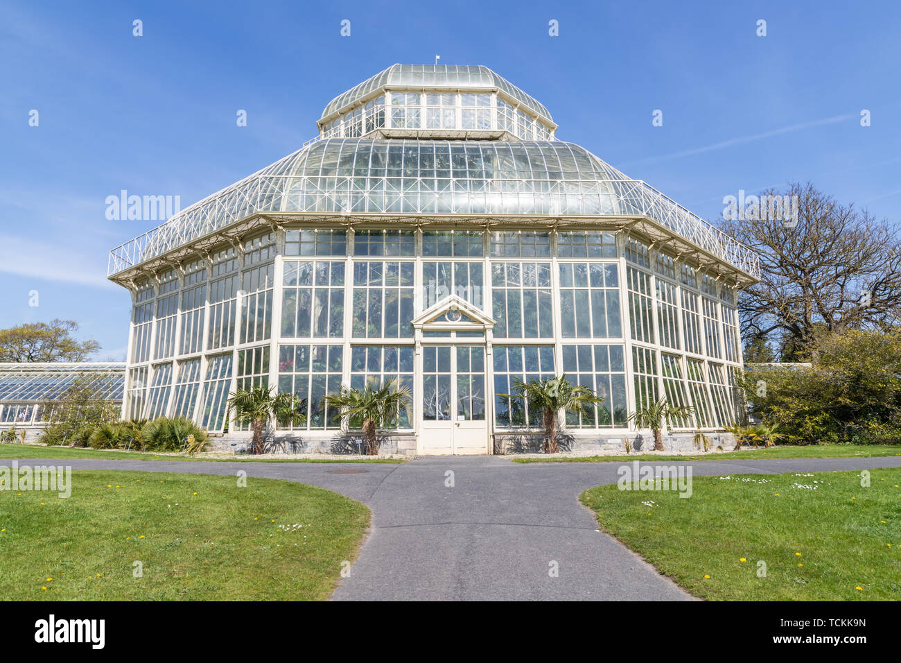 Glass house in Botanic garden, Dublin, Ireland Stock Photo - Alamy