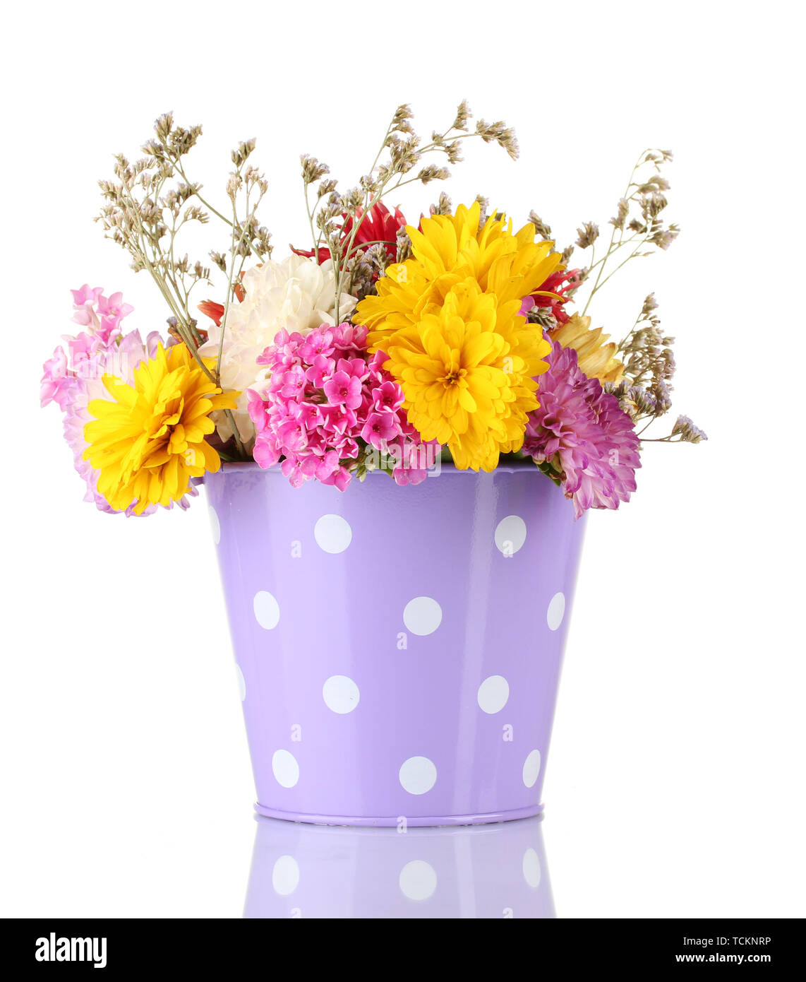 Purple bucket with white polka-dot with flowers isolated on white Stock ...