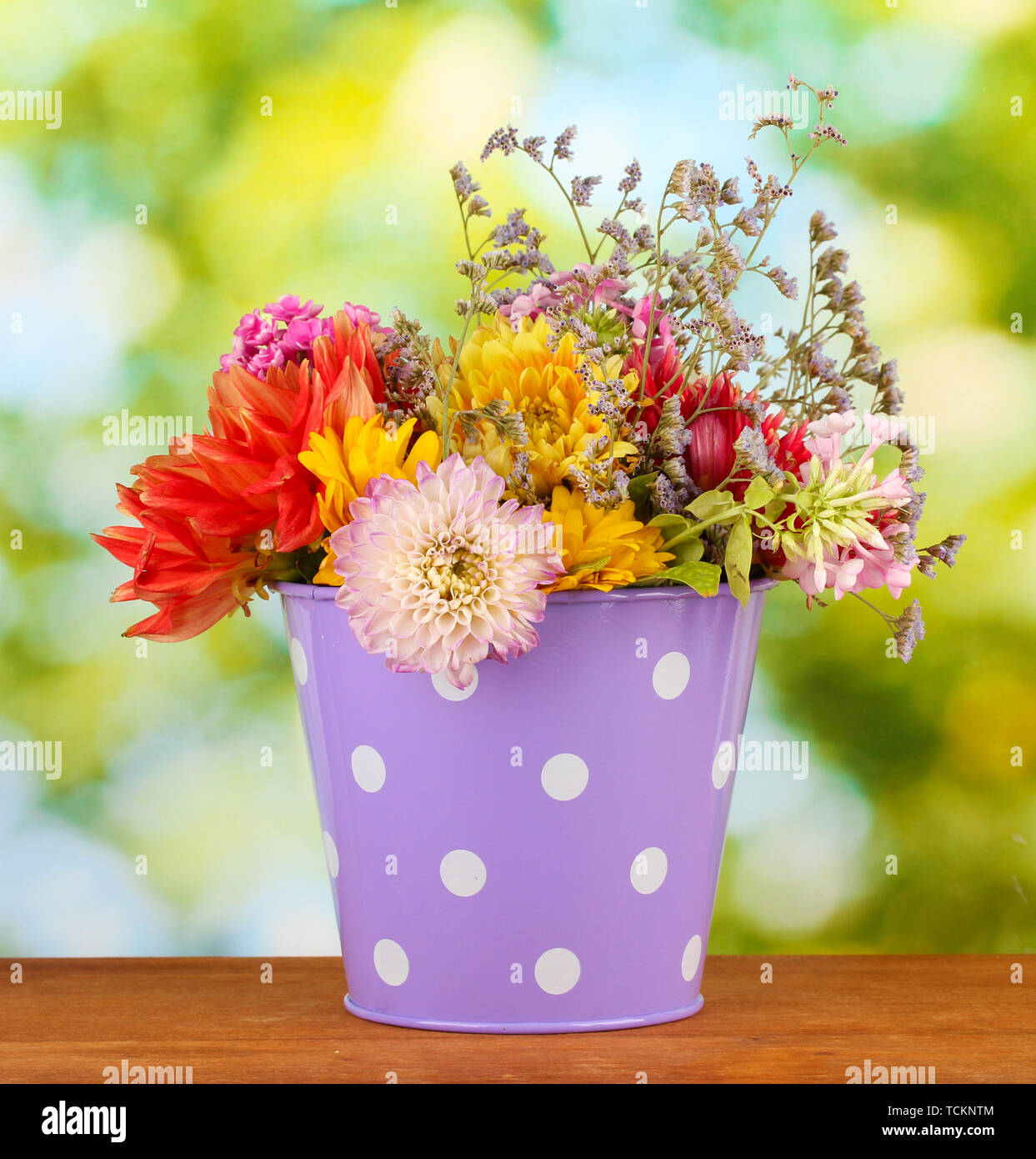 Purple bucket with white polka-dot with flowers on green background ...