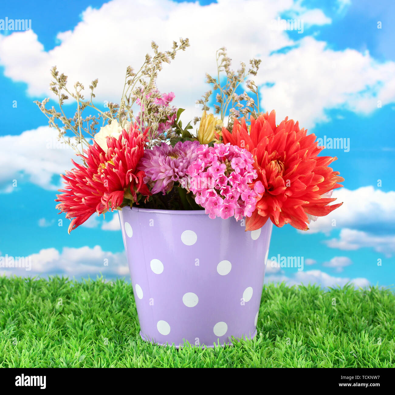 Purple bucket with white polka-dot with flowers on sky background Stock ...