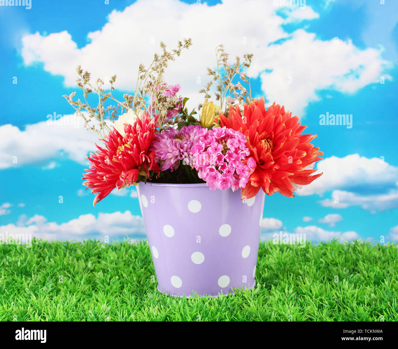 Purple bucket with white polka-dot with flowers on sky background Stock ...