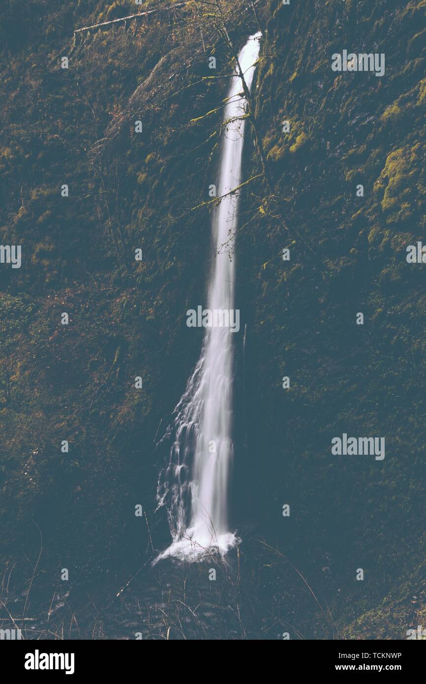 Beautiful thin small waterfall in a forest surrounded by greenery Stock ...