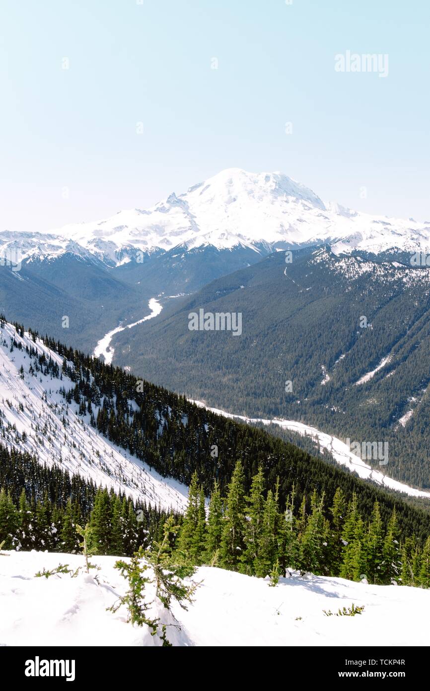 Beautiful snowy mountains with a thick green forest upfront Stock Photo ...