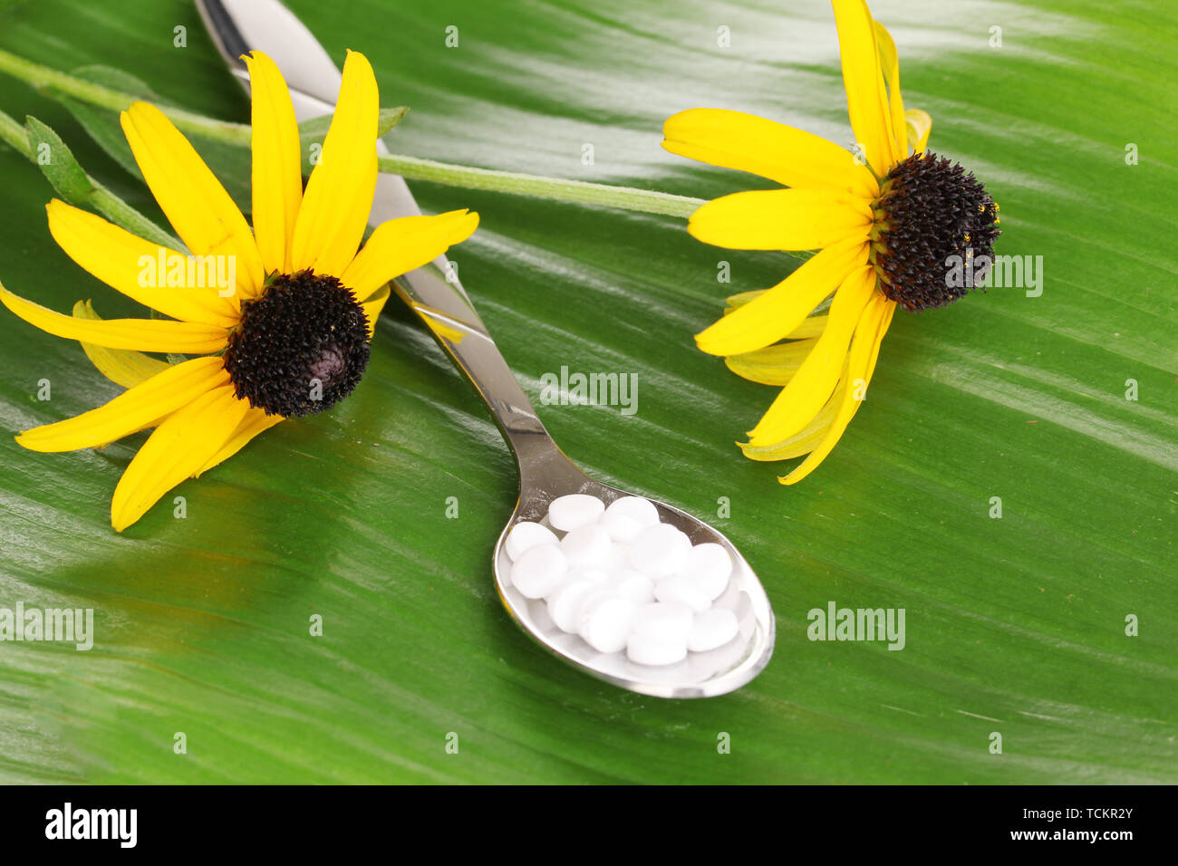 homeopathic tablets and flowers on green leaf isolated on white Stock ...