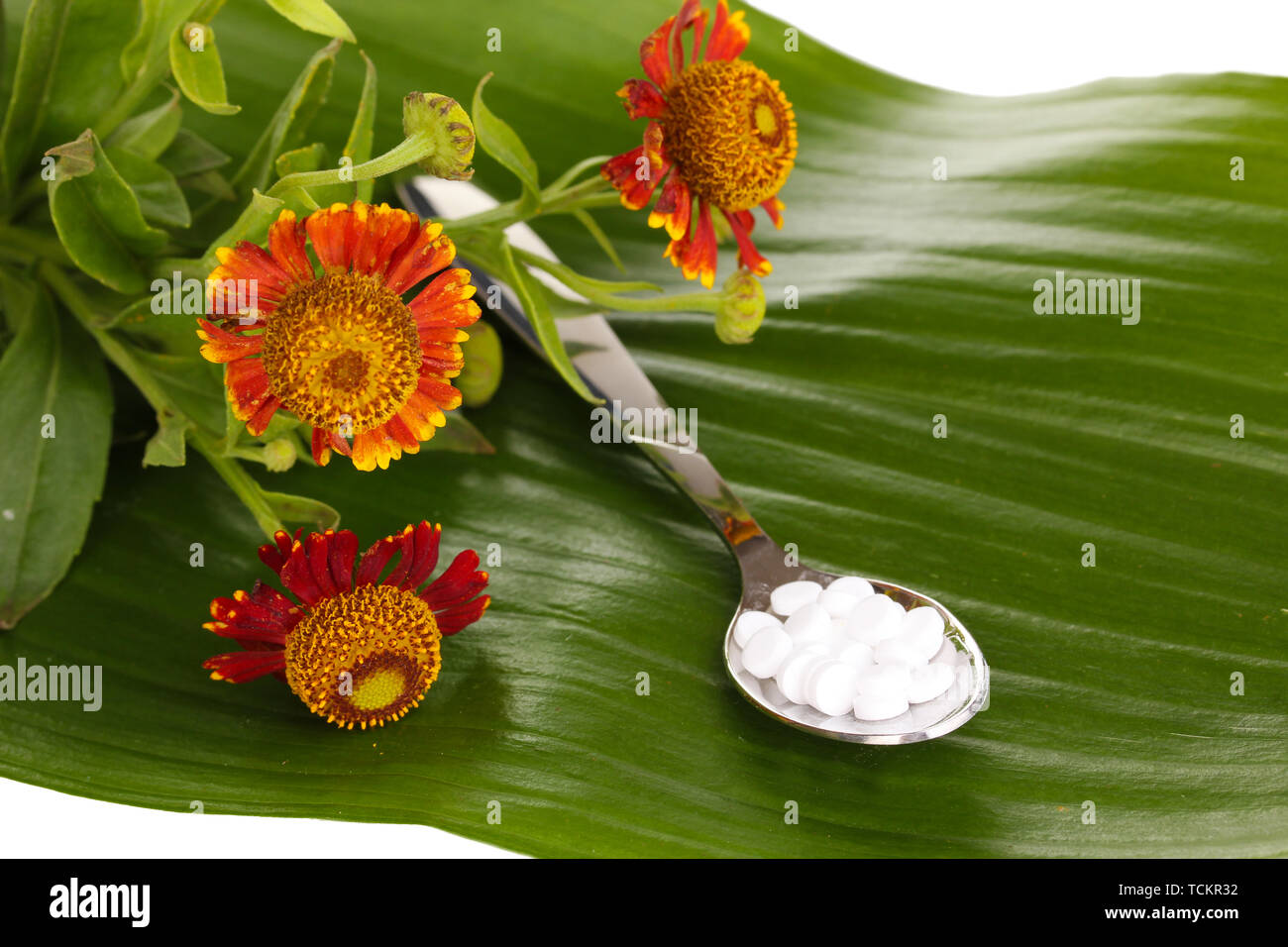 homeopathic tablets and flowers on green leaf isolated on white Stock ...
