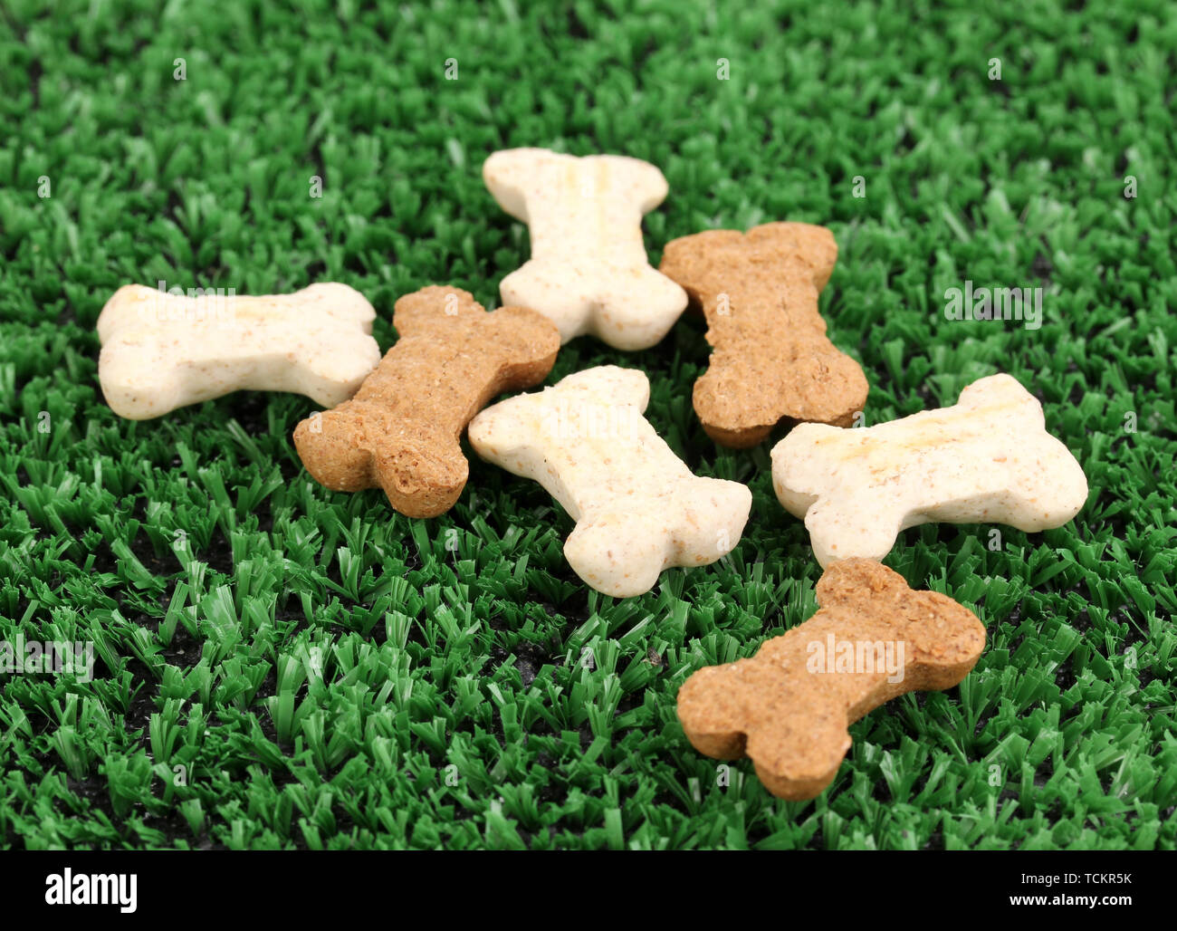 Dry bone-shaped food for dogs on green grass Stock Photo - Alamy
