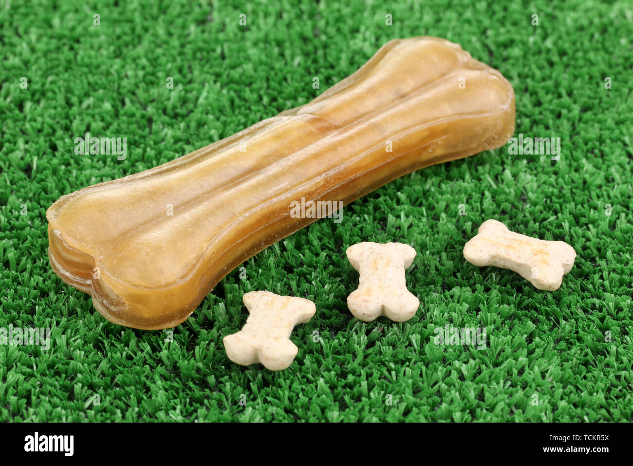 Dog bone on green grass Stock Photo - Alamy