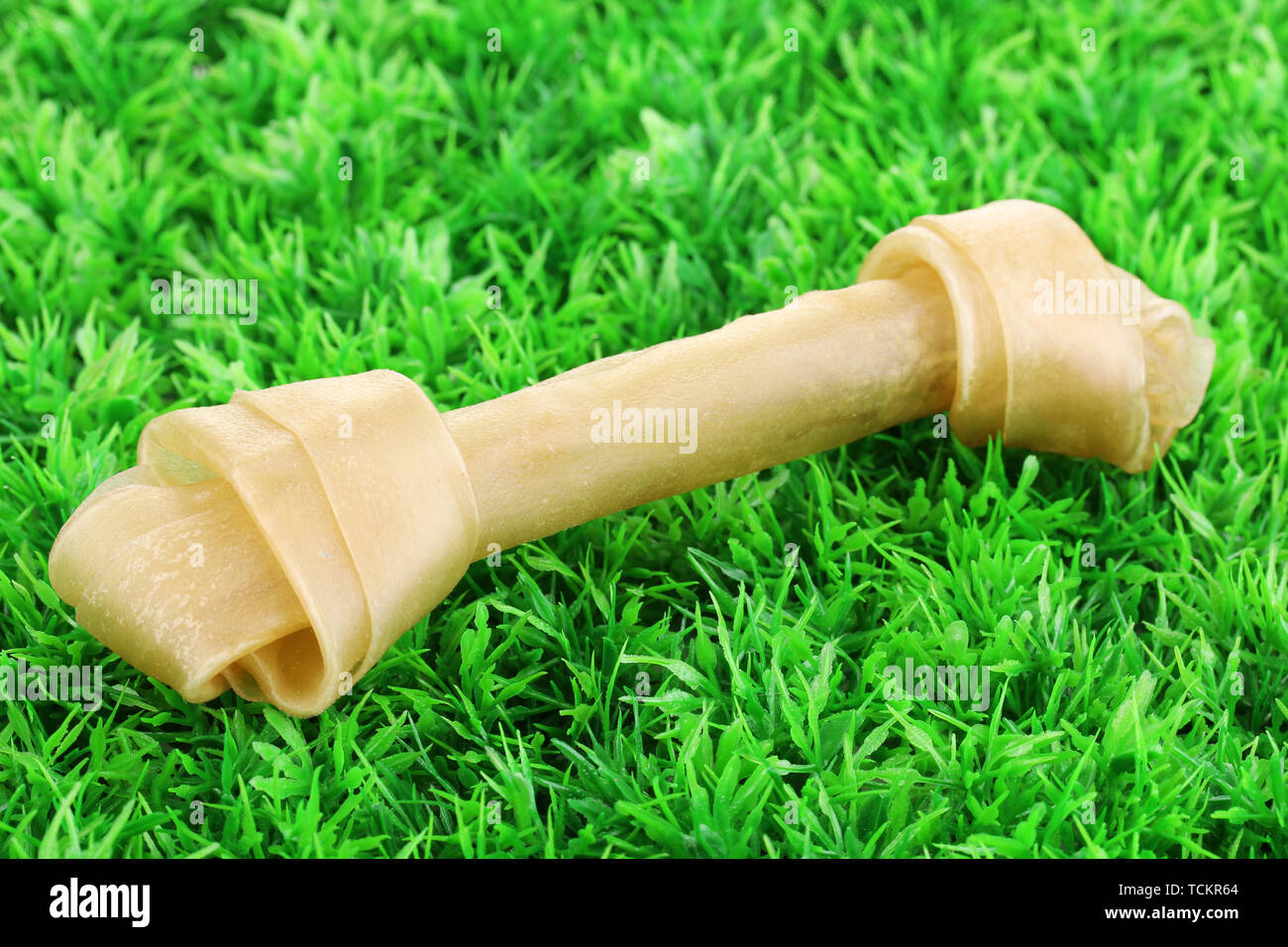 Dog bone on green grass Stock Photo - Alamy