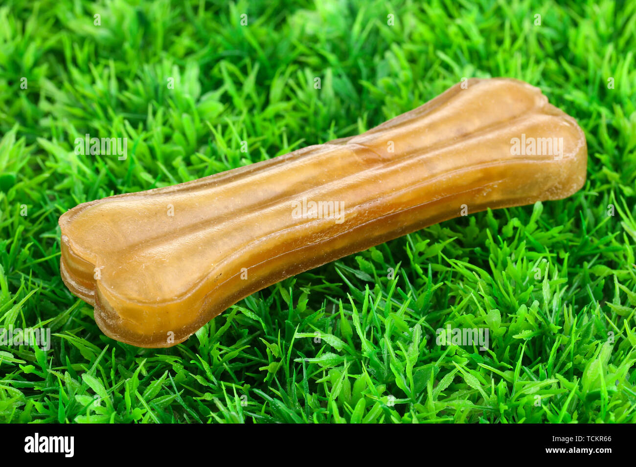 Dog bone on green grass Stock Photo - Alamy
