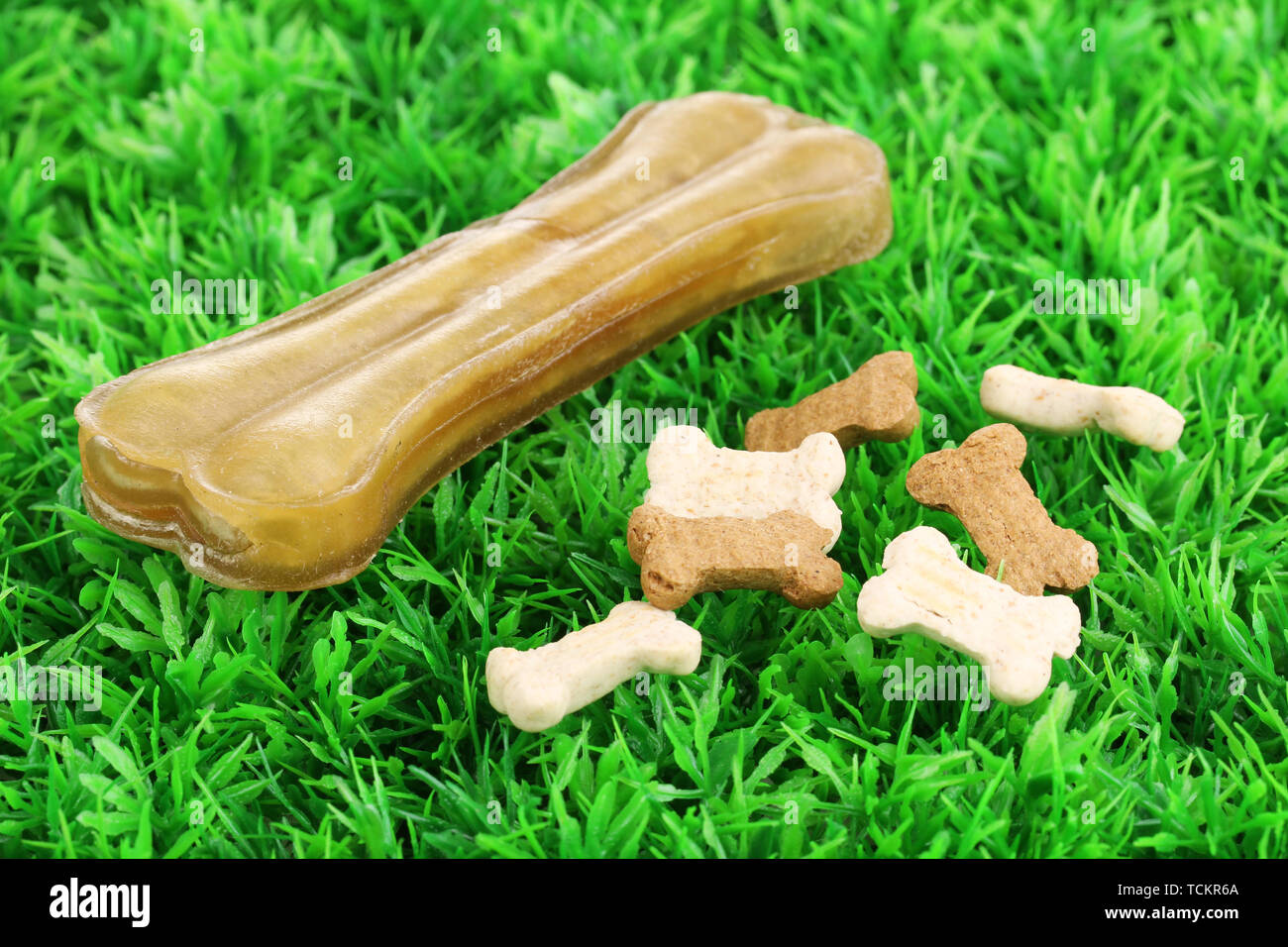Dog bone on green grass Stock Photo - Alamy