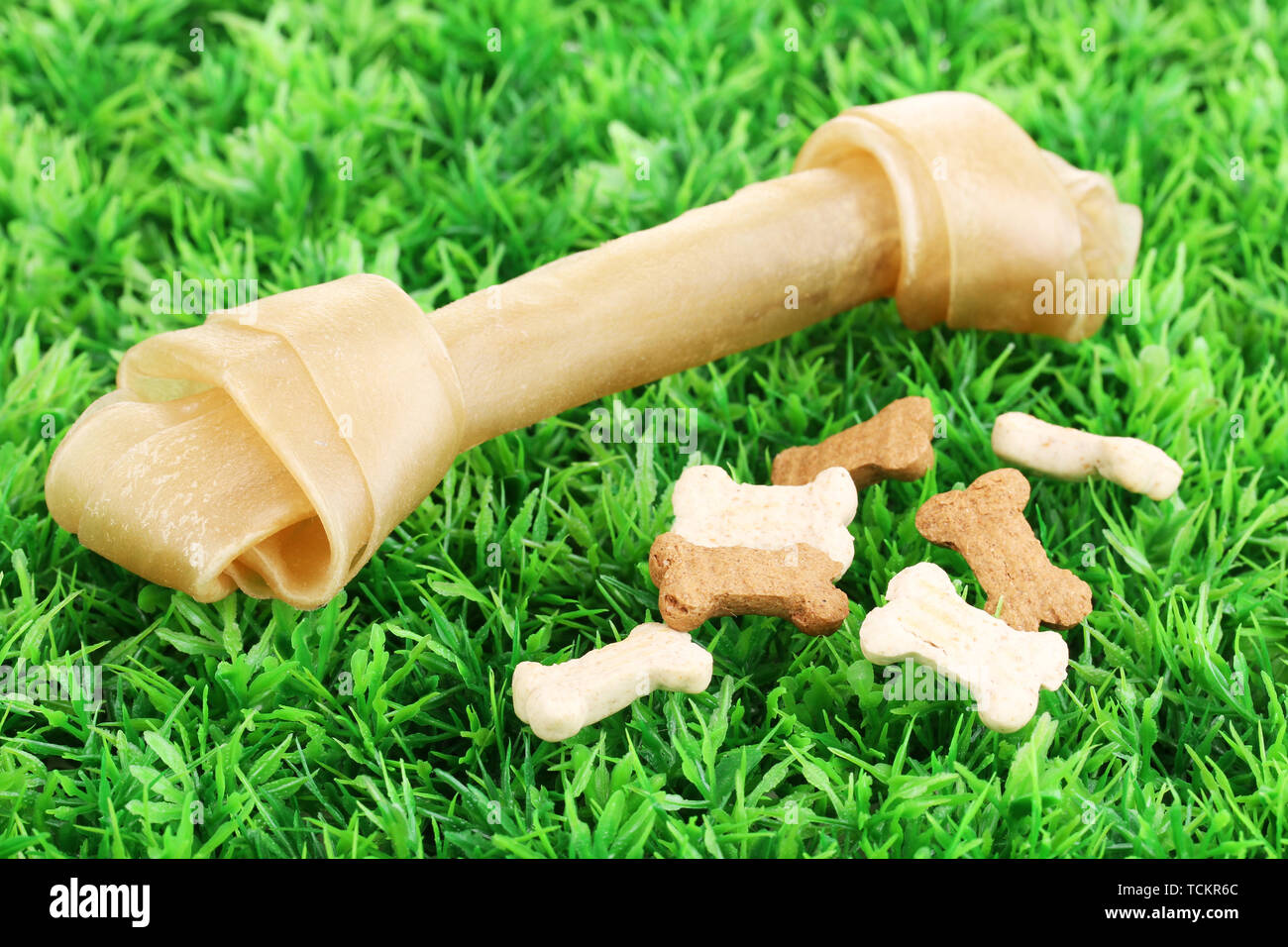Dog bone on green grass Stock Photo - Alamy