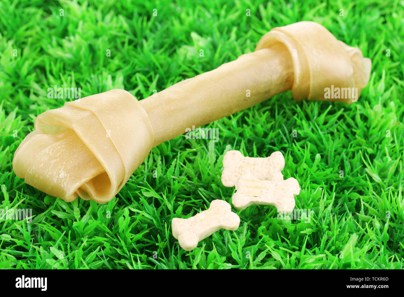 Dog bone on green grass Stock Photo - Alamy