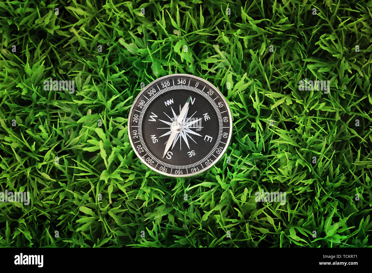 compass on green grass Stock Photo - Alamy