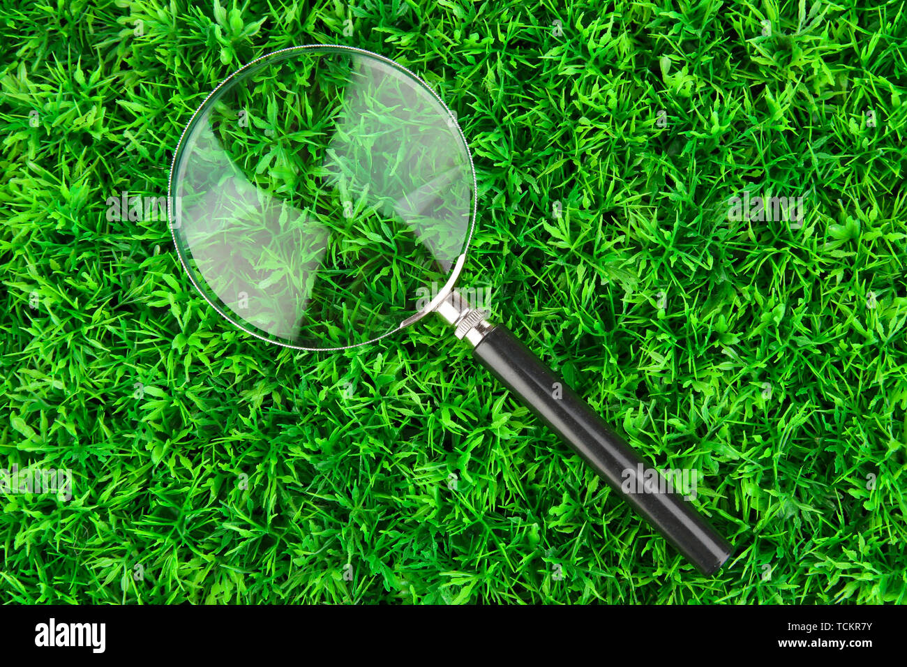 magnifying glass on green grass Stock Photo - Alamy