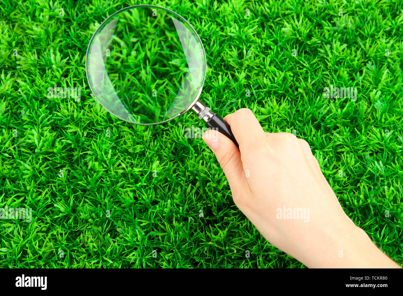 Grass green magnifier symbol hi-res stock photography and images - Alamy