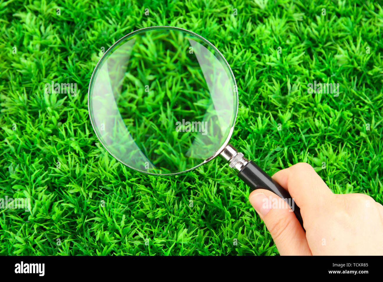 magnifying glass in hand on green grass Stock Photo - Alamy