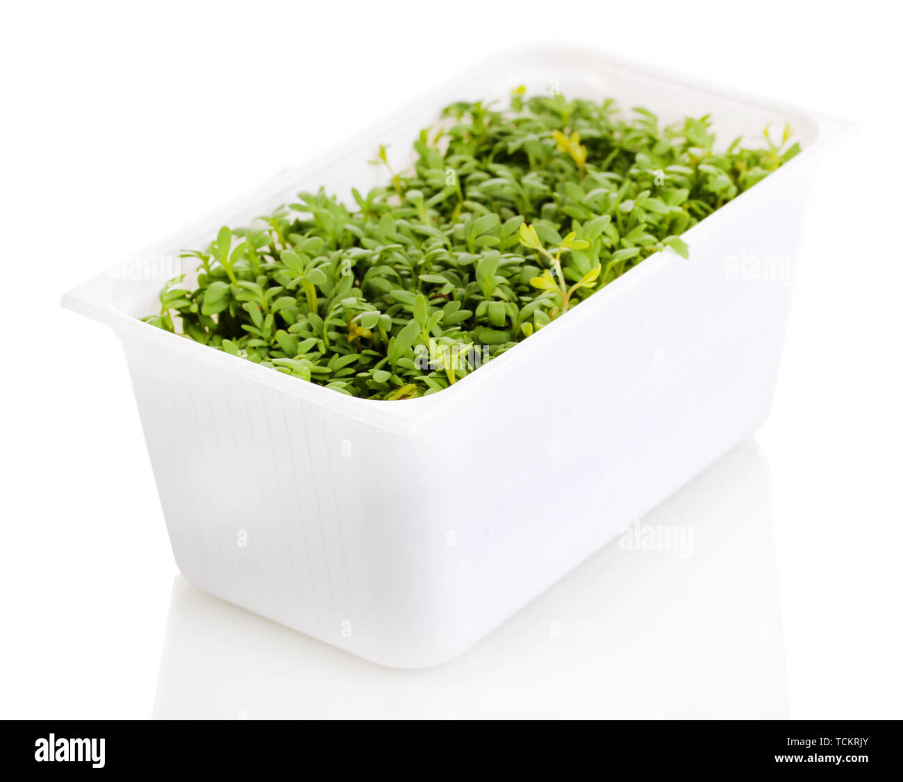 Cress sprouts in plastic box hi-res stock photography and images - Alamy