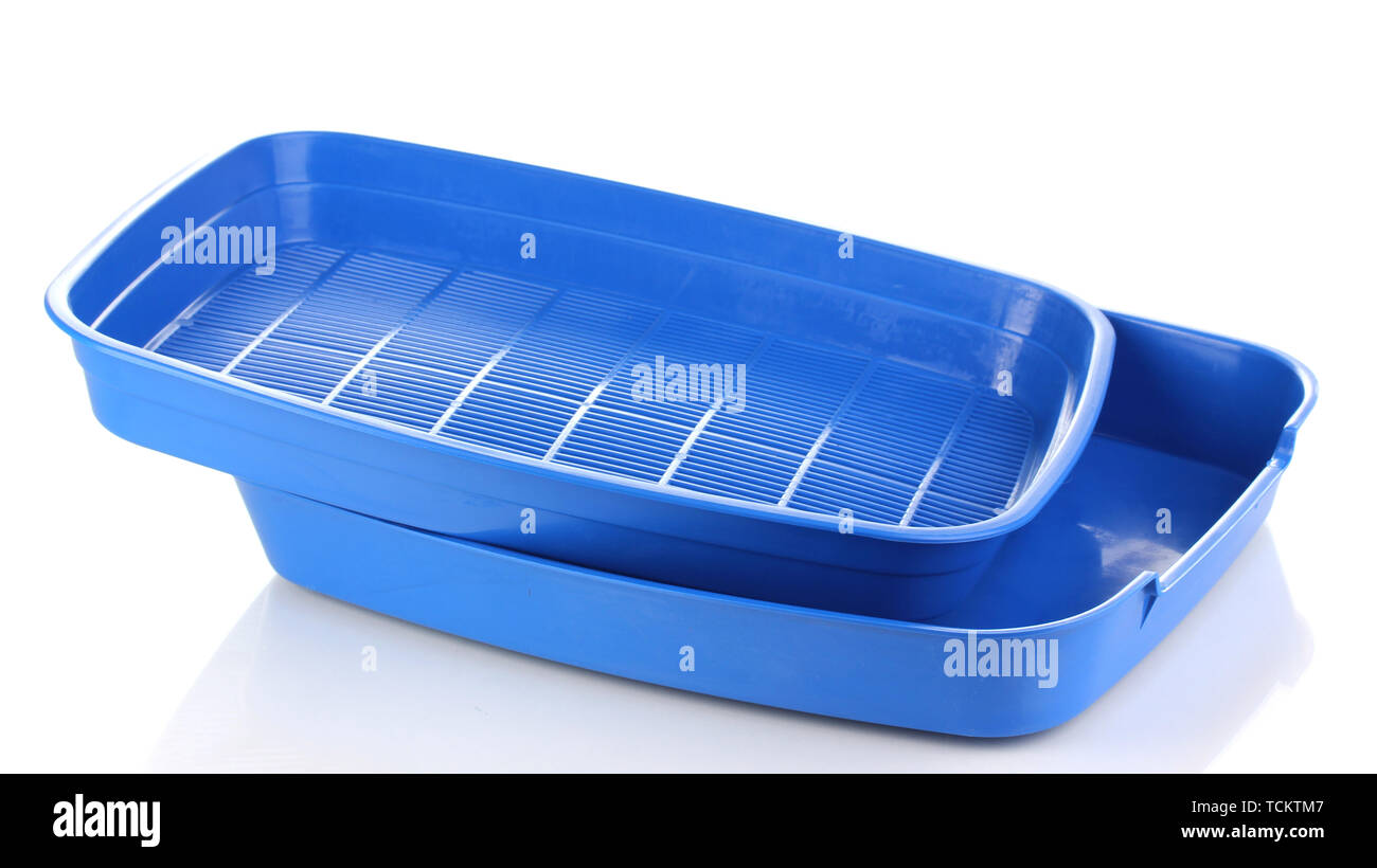 Blue plastic litter cat isolated on white Stock Photo - Alamy
