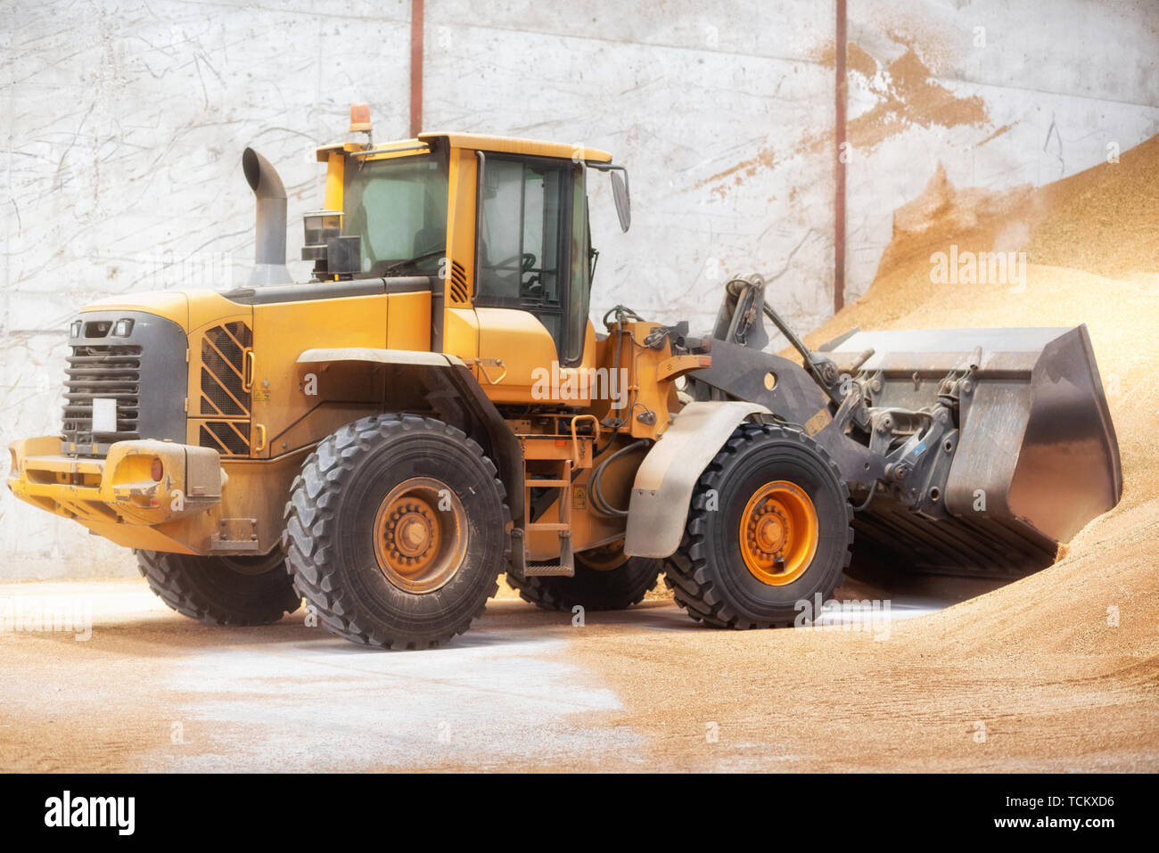 Wheel loader, excavator loading sand at construction site Stock Photo ...