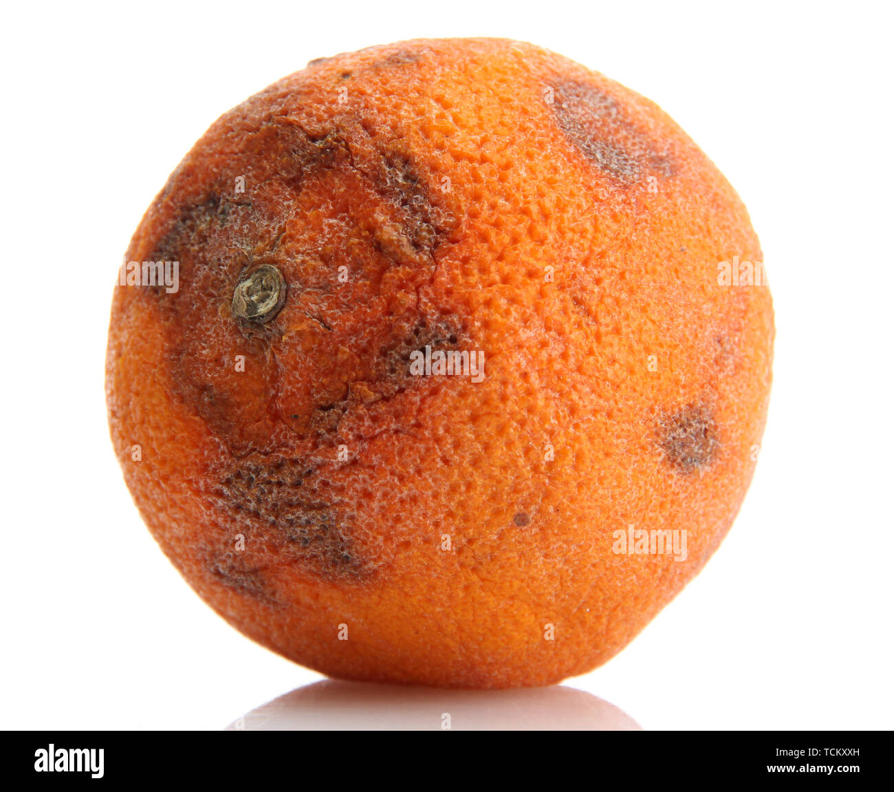 Rotten orange isolated on white Stock Photo - Alamy