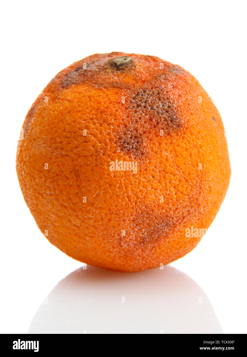 Rotten orange isolated on white Stock Photo - Alamy