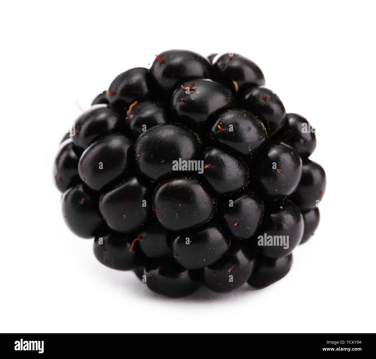 beautiful blackberry isolated on white Stock Photo - Alamy