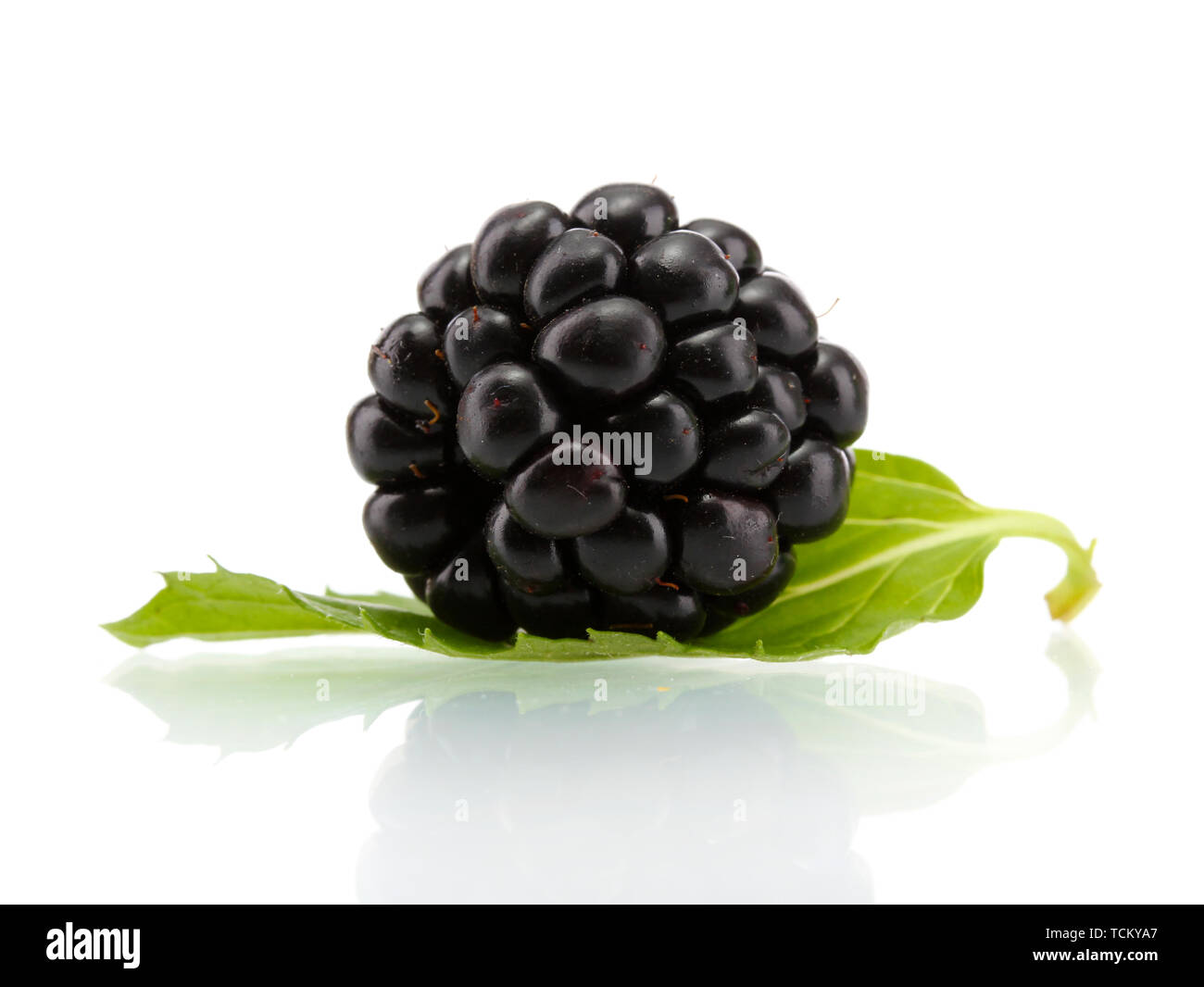 beautiful blackberry with leaf isolated on white Stock Photo - Alamy