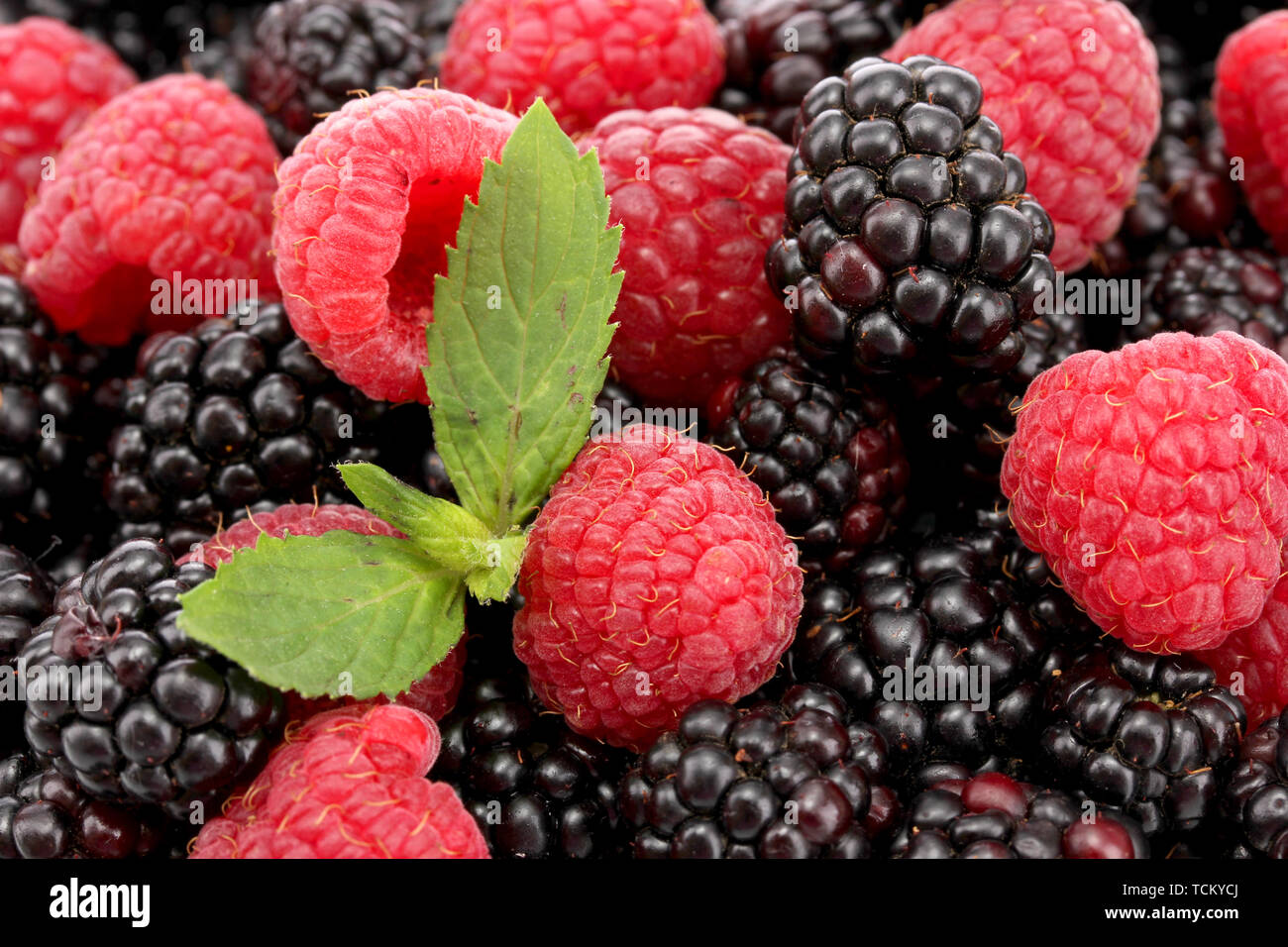 background of beautiful berries with leaves Stock Photo - Alamy