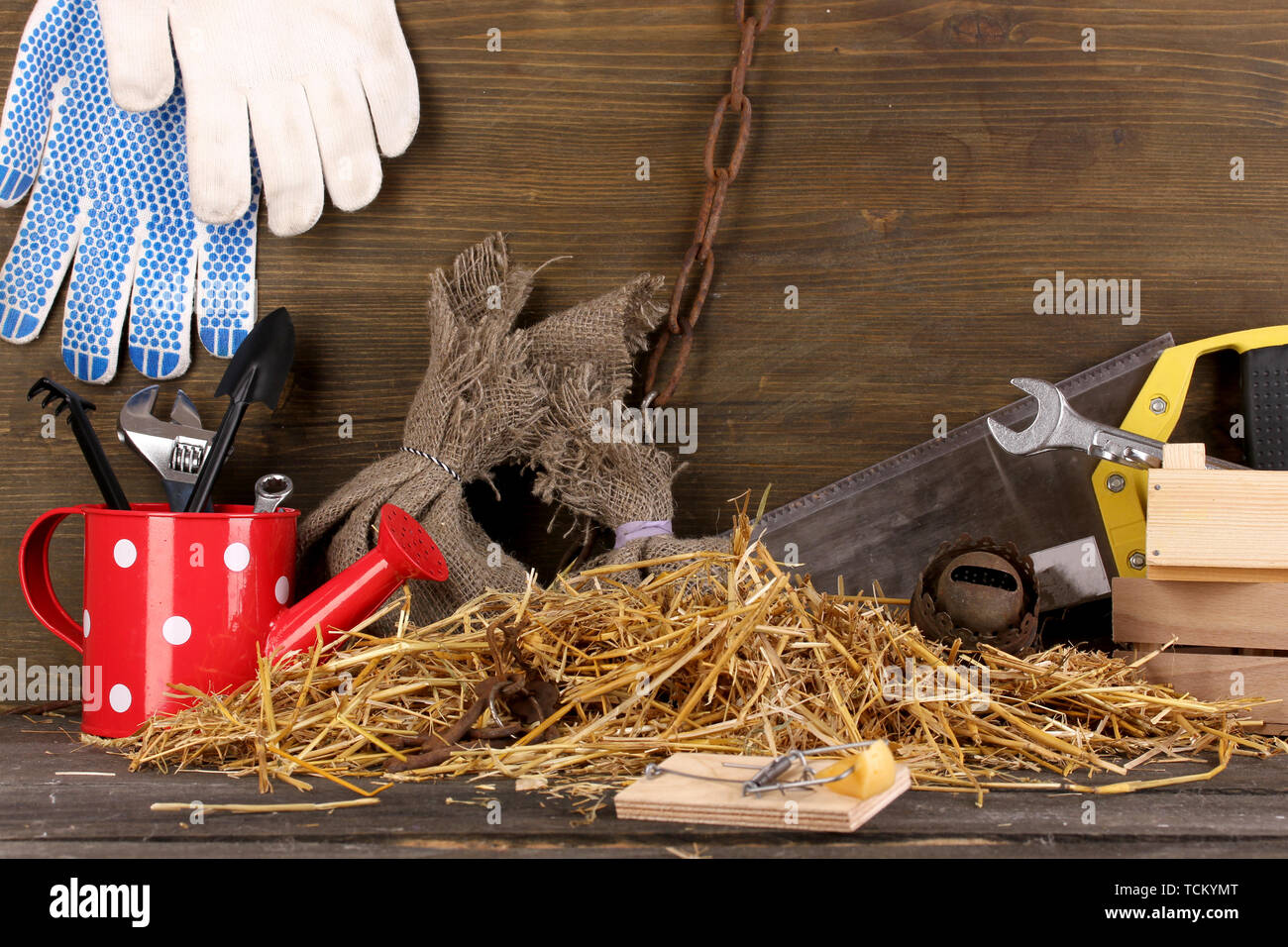 Mousetrap with a piece of cheese in barn on wooden background Stock ...