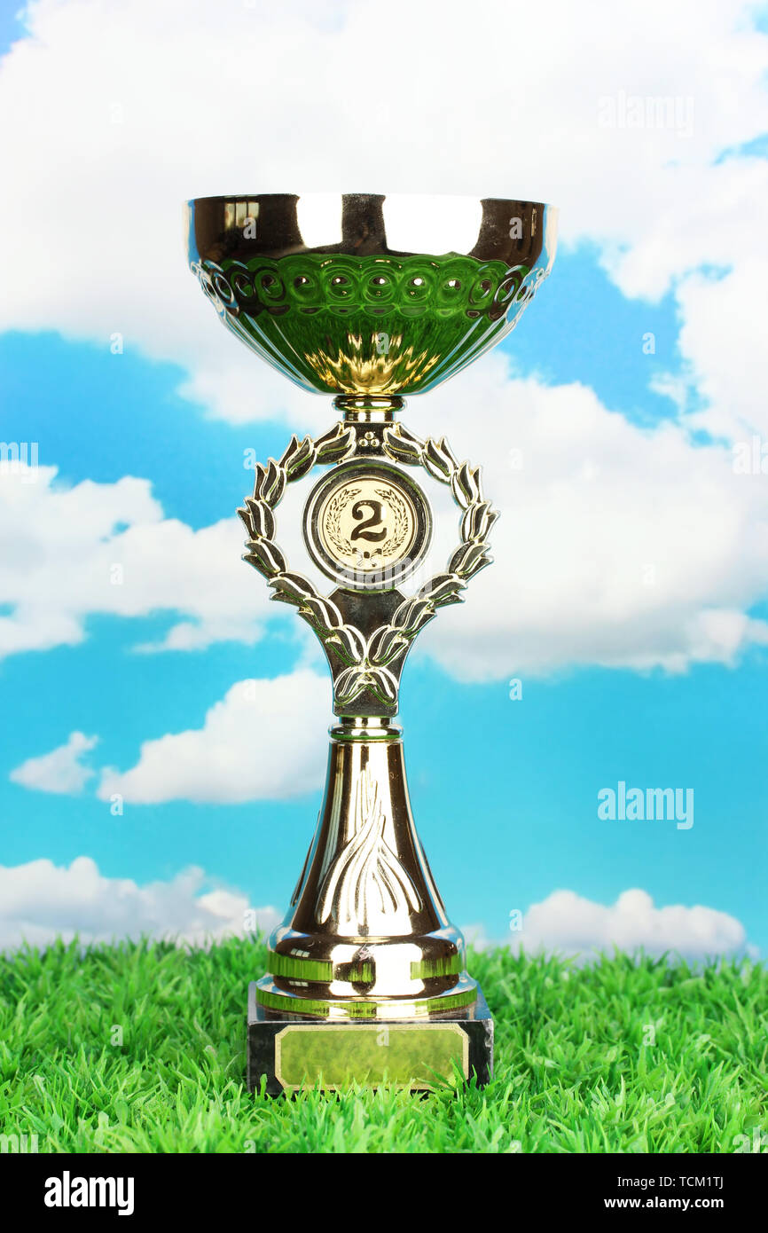 Trophy cup on grass and sky background Stock Photo - Alamy