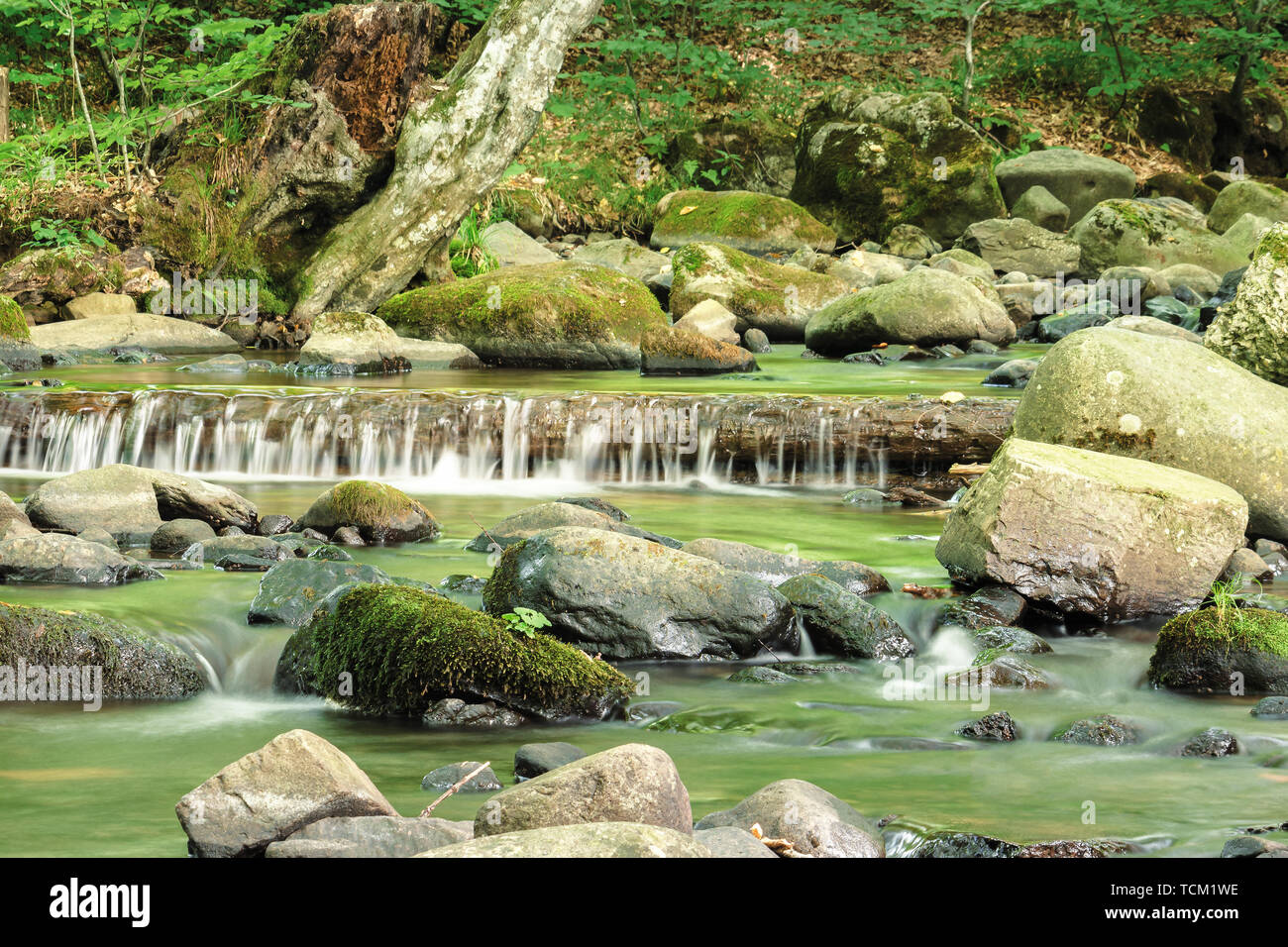 Brook scenery hi-res stock photography and images - Alamy