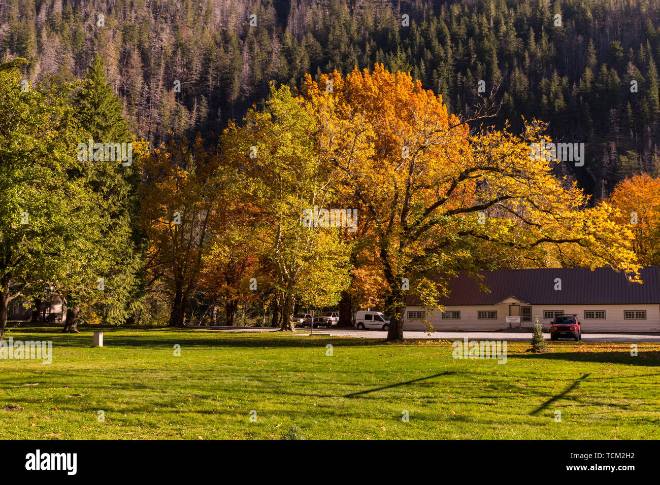 Park and green area around Skagit Information Center in Newhalem Stock ...