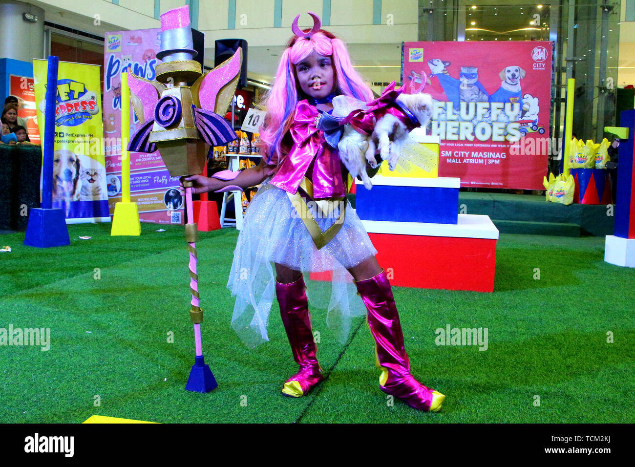 Philippine dog breed hi-res stock photography and images - Alamy