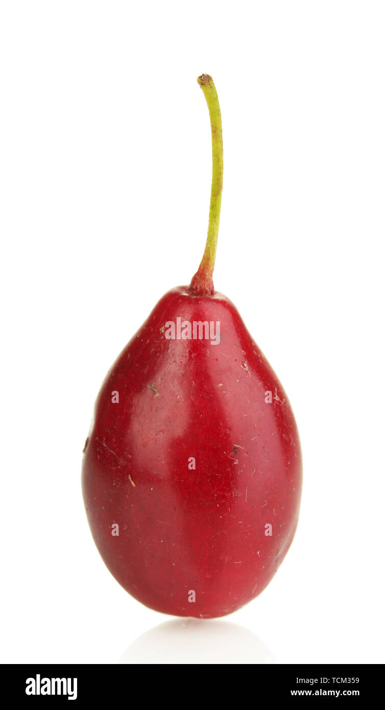 Cornel berry hi-res stock photography and images - Alamy