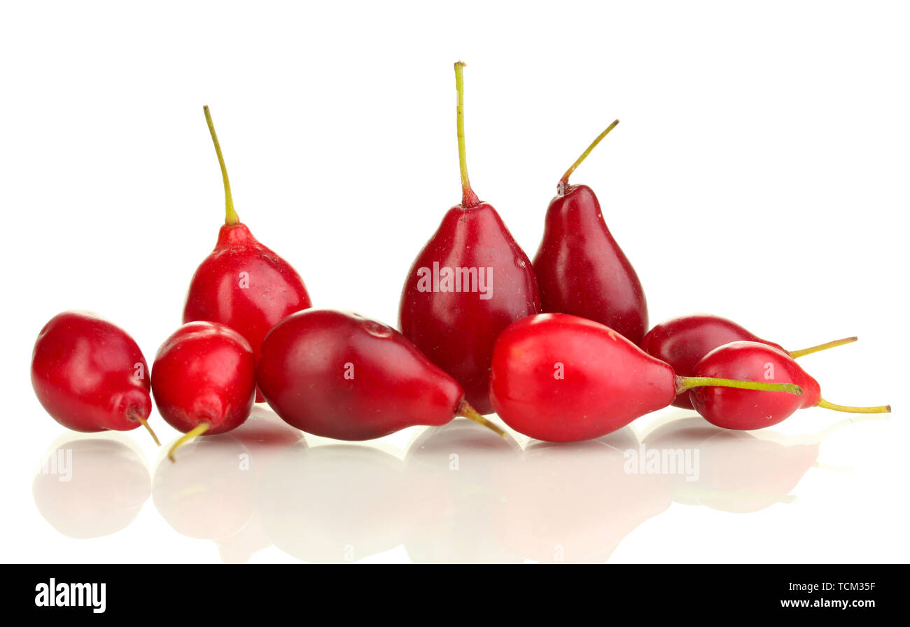 fresh cornel berries isolated on white Stock Photo - Alamy