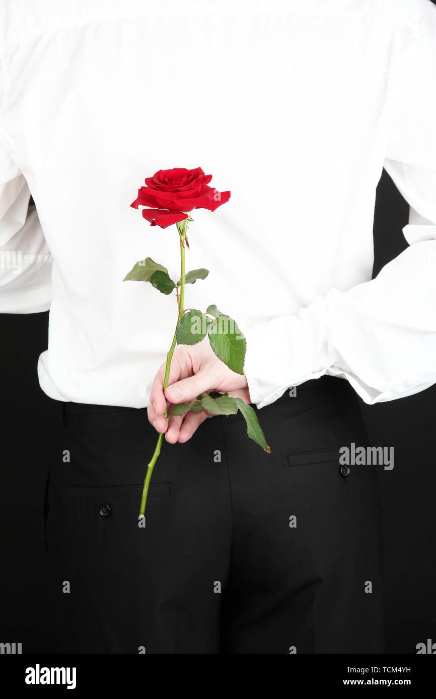 Guy holding red rose behind hi-res stock photography and images - Alamy