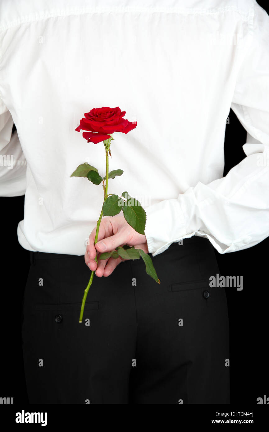 Guy holding red rose behind hi-res stock photography and images - Alamy