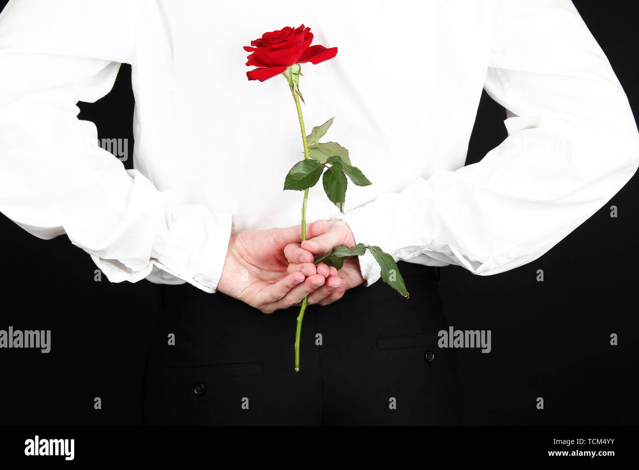 Guy holding red rose behind hi-res stock photography and images - Alamy