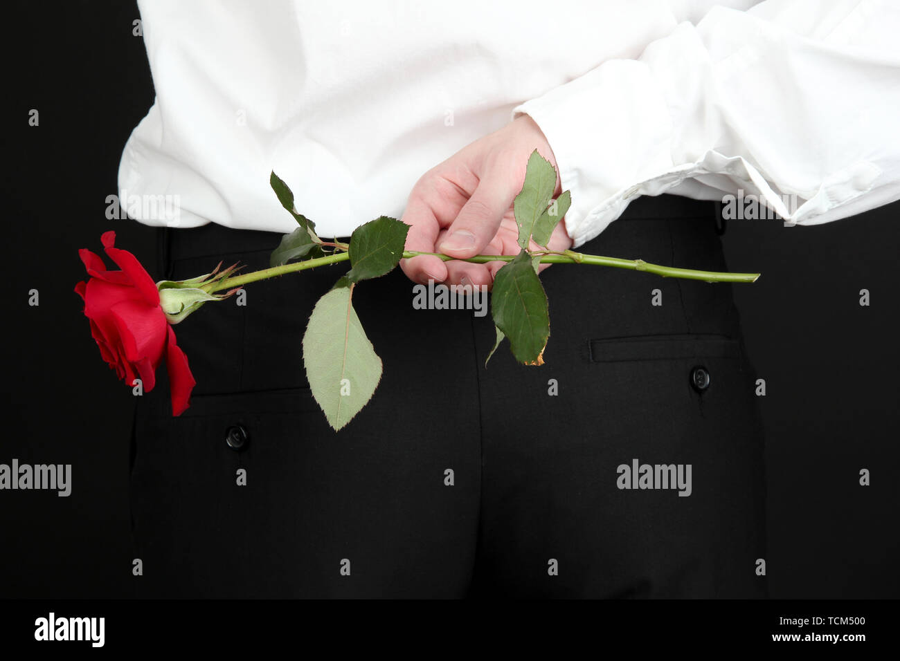 Guy holding red rose behind hi-res stock photography and images - Alamy