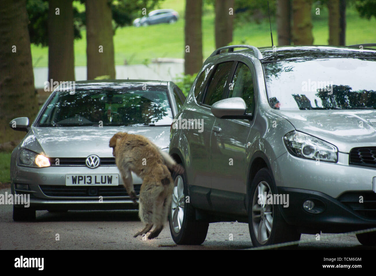 Car searching hi-res stock photography and images - Alamy