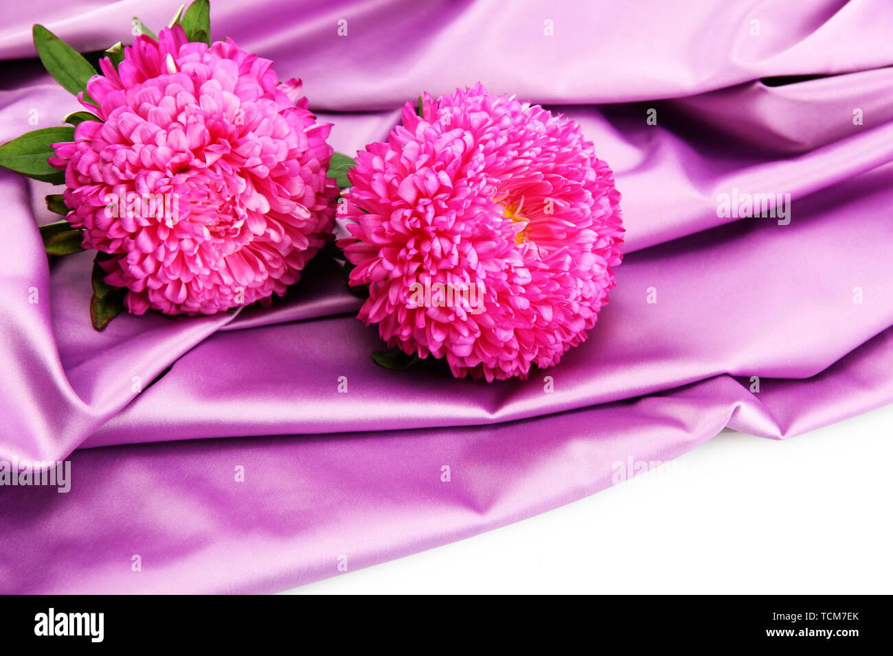 beautiful aster flowers, on silk background Stock Photo - Alamy