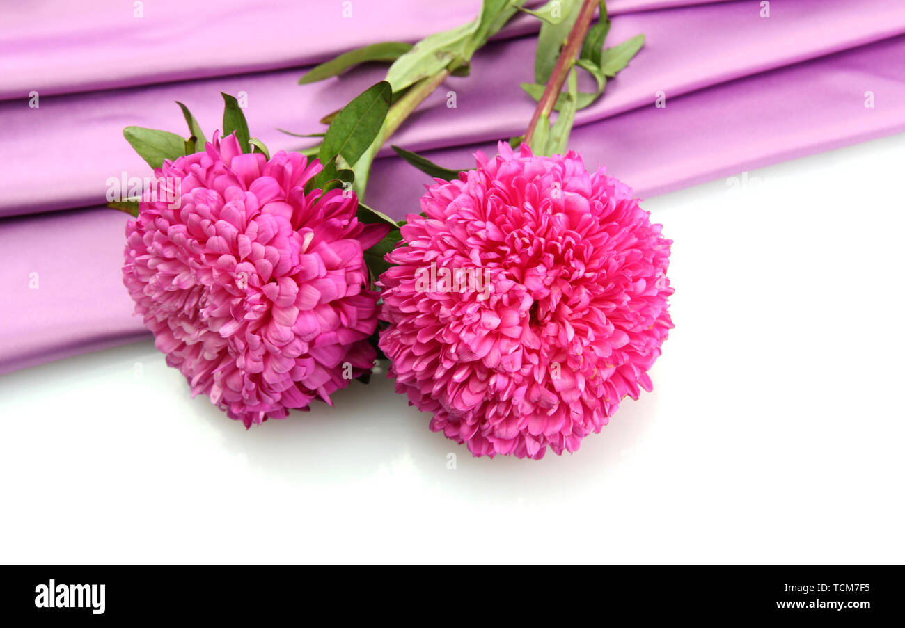 beautiful aster flowers, on silk background Stock Photo - Alamy