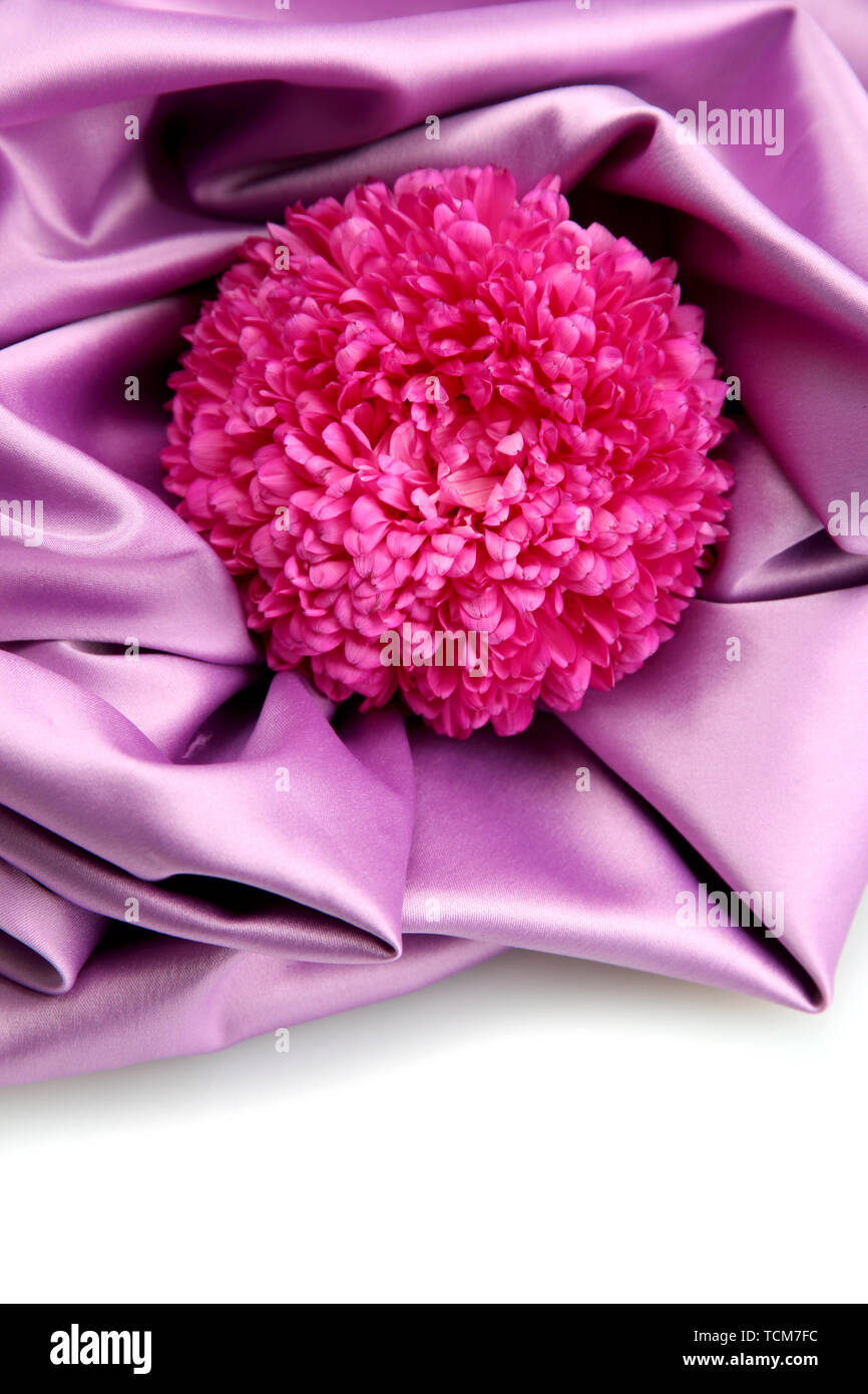 beautiful aster flower, on silk background Stock Photo - Alamy