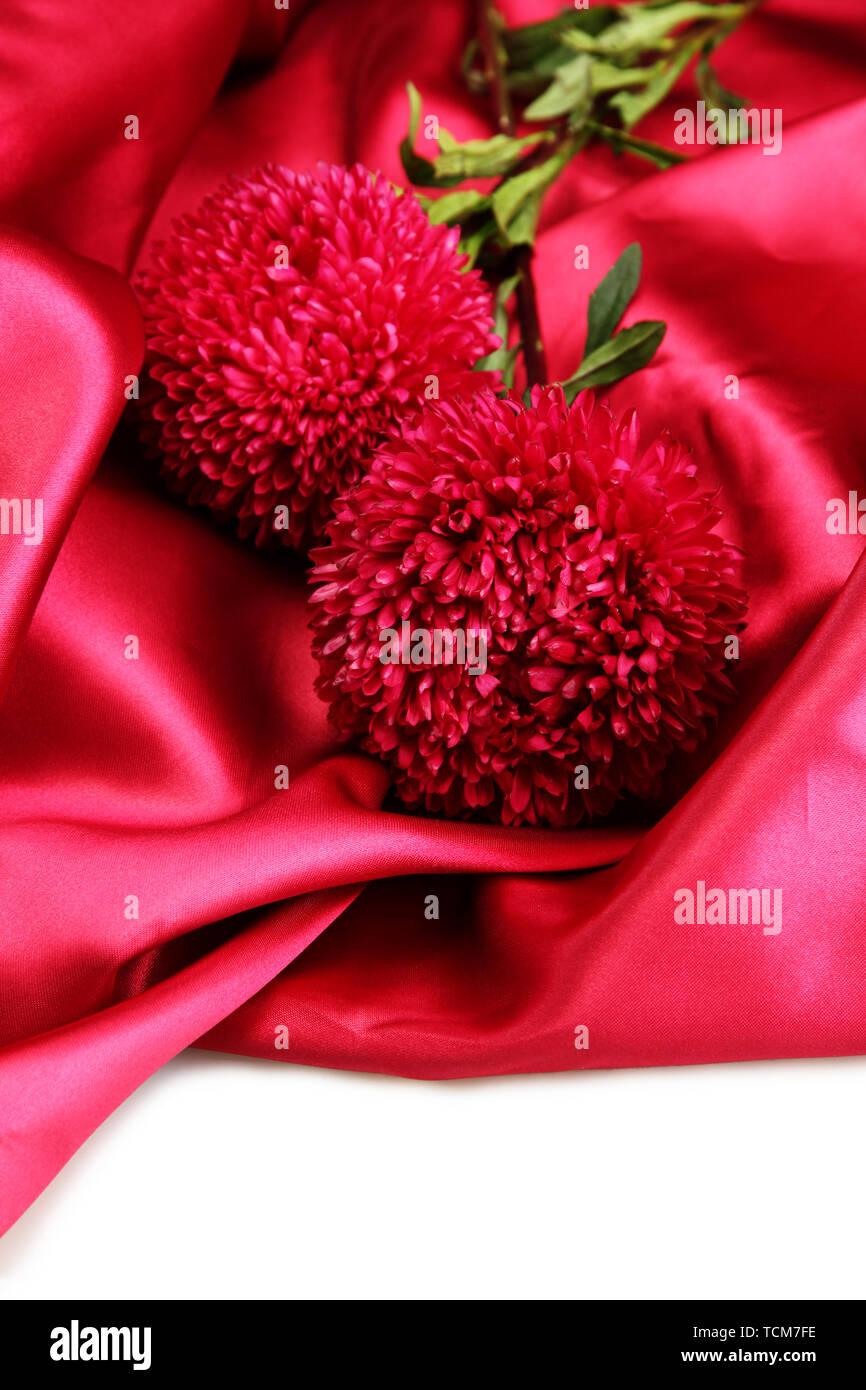beautiful aster flowers, on silk background Stock Photo - Alamy